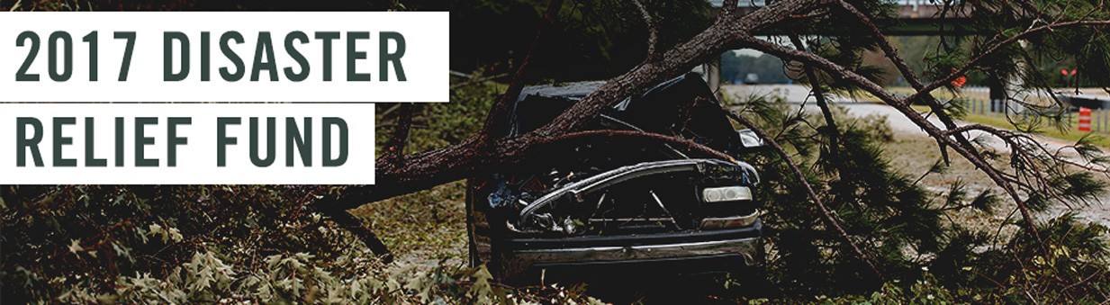 Welcome | JCC of Greater New Haven