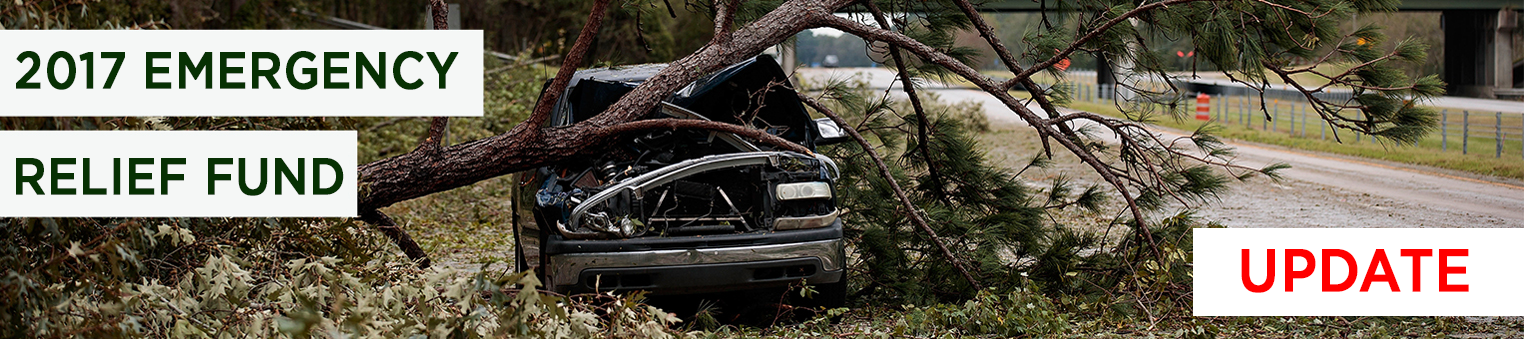 Updates on Federations' Response to Natural Disasters [10/27] | This ...