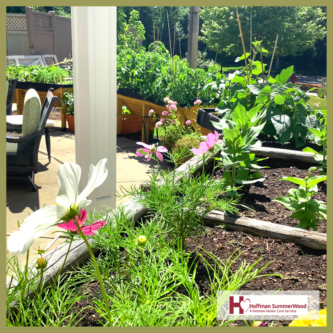 Hoffman SummerWood, JFGH & Kostin Family Partner for Community Garden ...