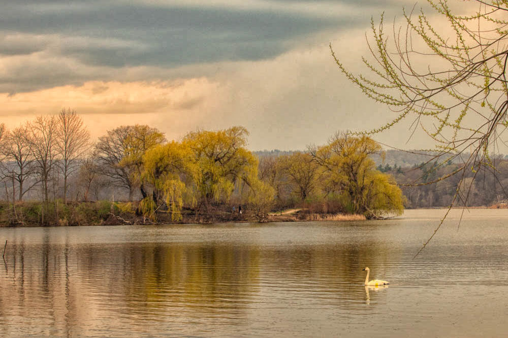 A short history of Princess Point | Hamilton Jewish News