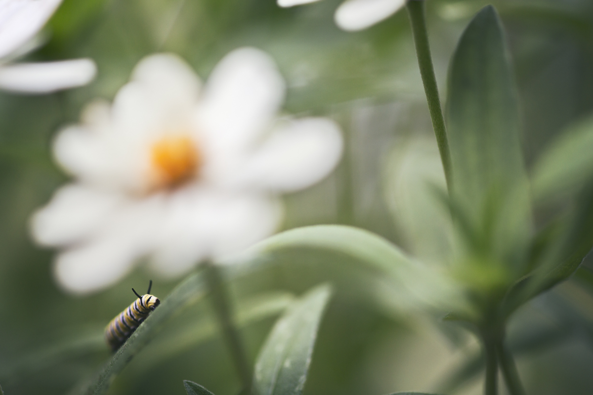 JEA Art Gallery Reception | Jewish Educational Alliance