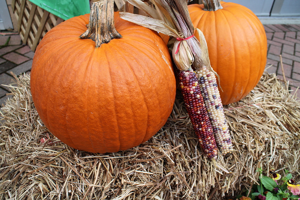 Mayerson JCC Farmer’s Market | Jewish Federation of Cincinnati
