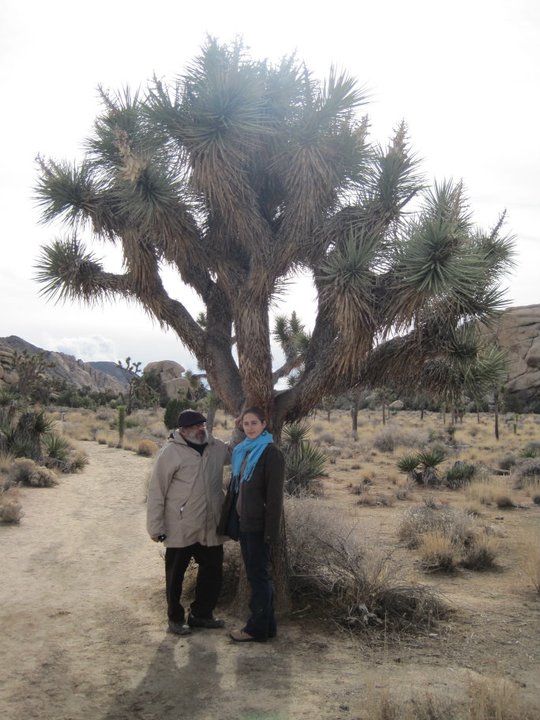 Dvar Torah - Re'eh - In Honor of Elliot Weinberg | Champaign-Urbana ...