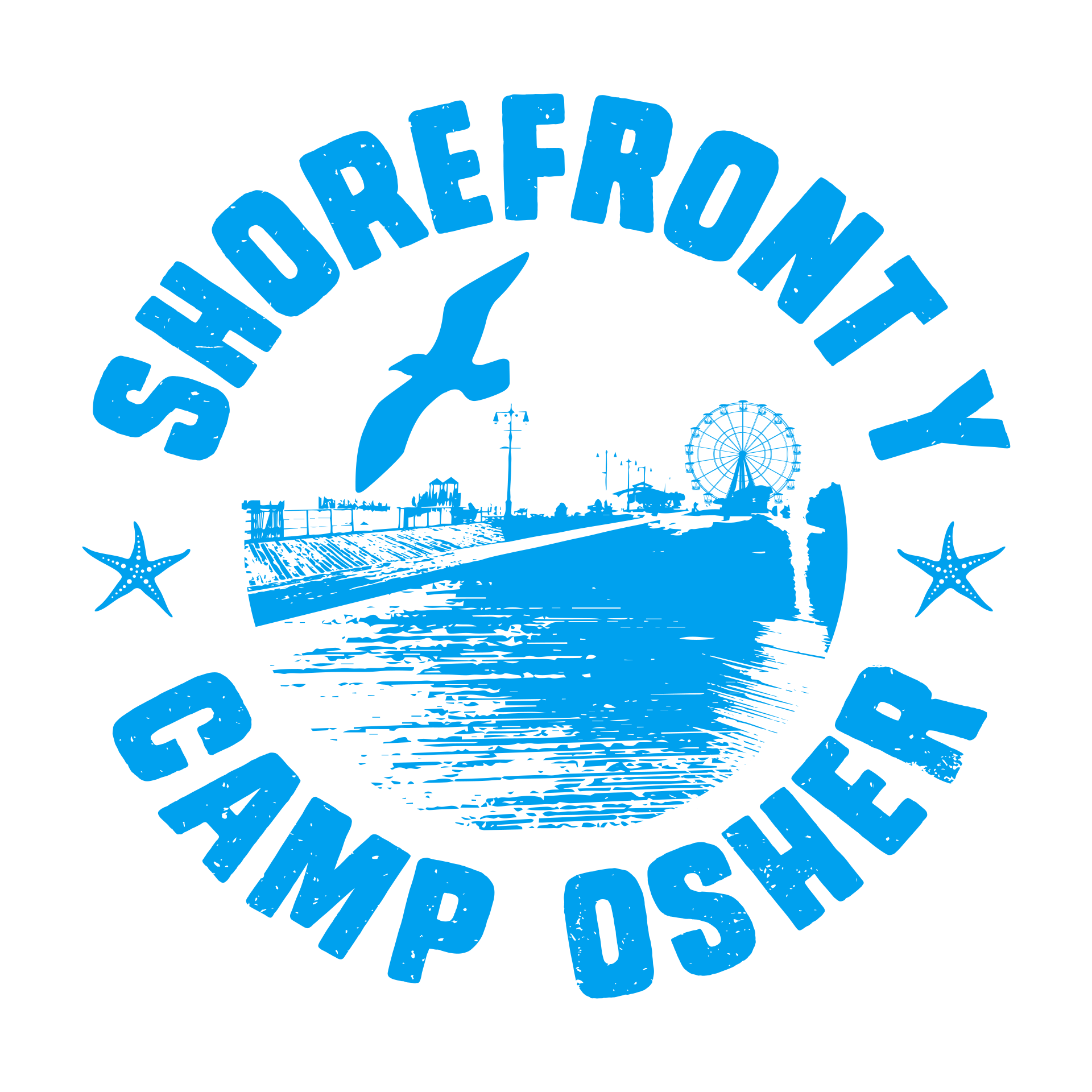 Shorefront Y Summer Day Camp Brooklyn New York, Camp Osher, Havaya Teen ...